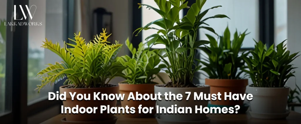 Your Guide to the Best Indoor Plants for Indian Homes